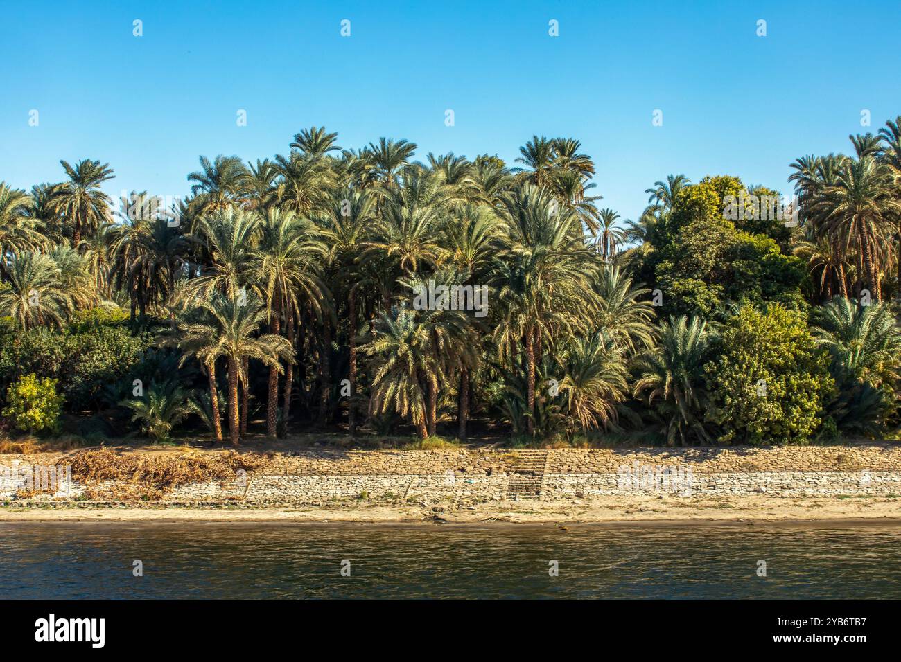 Discover the Nile Oasis, a verdant valley cruise through Egypt's heart ...