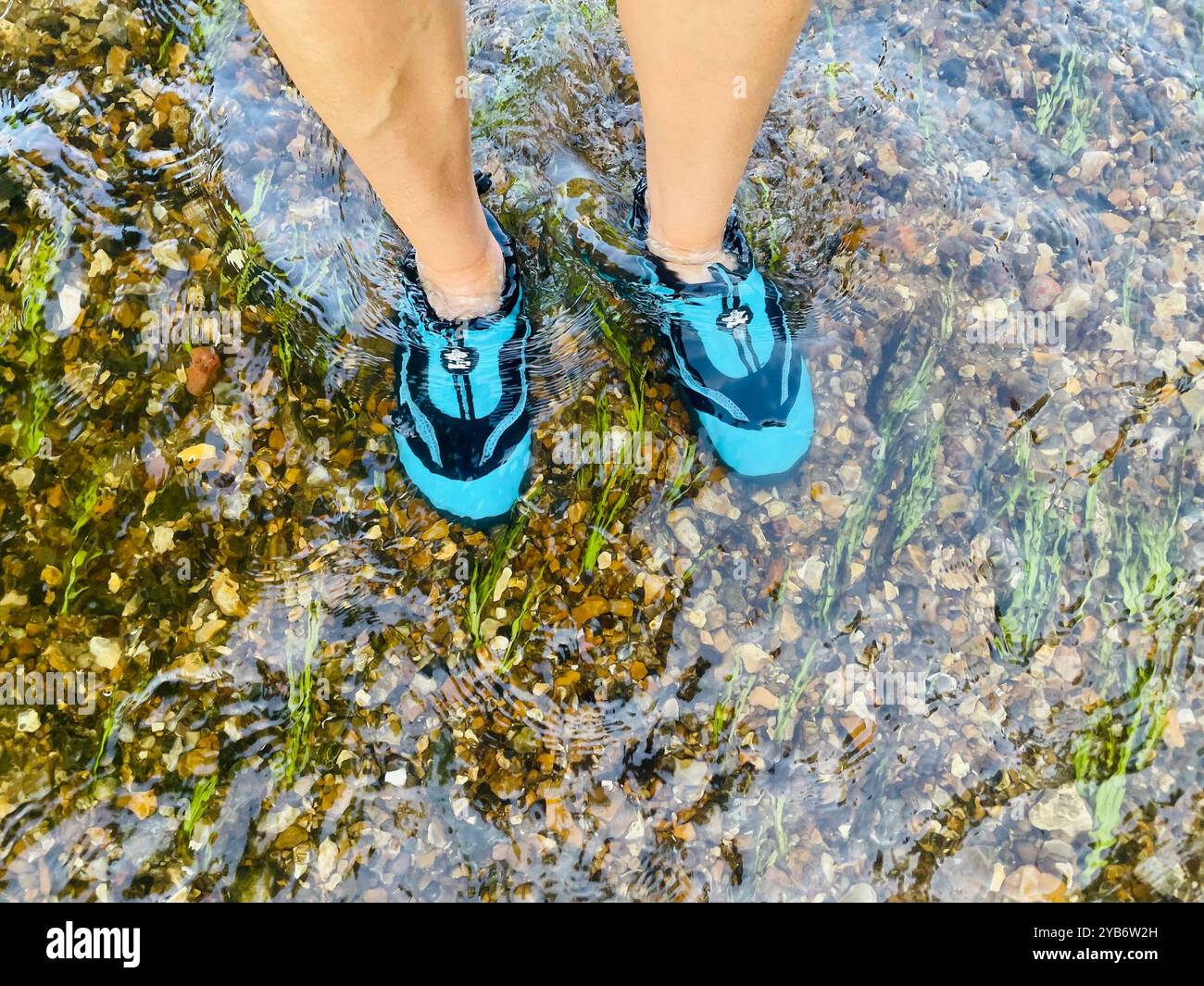 feet in water Stock Photo - Alamy