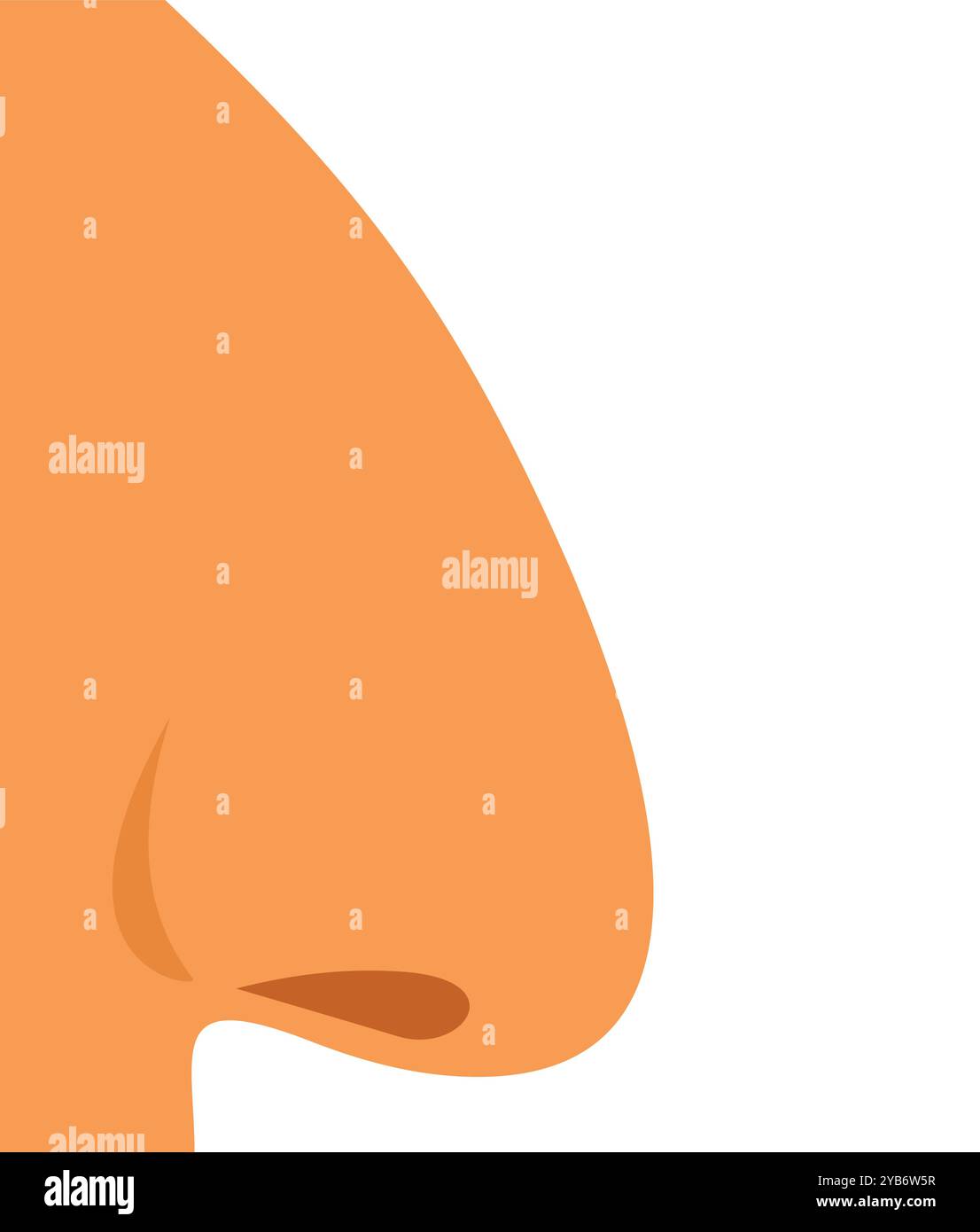 Human nose illustrating the respiratory system and the sense of smell ...