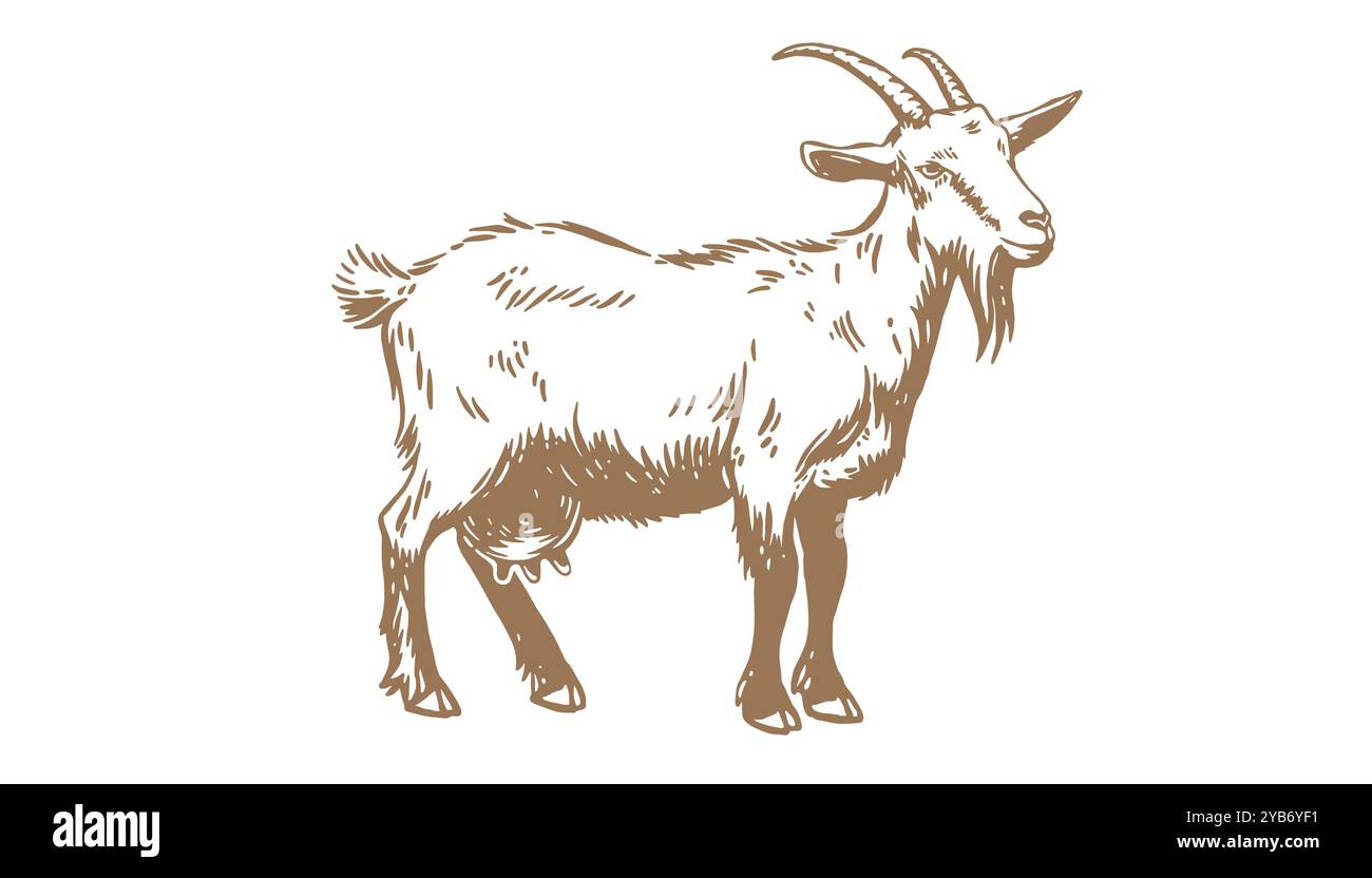 Goat. Vintage retro print, black white Stock Vector Image & Art - Alamy