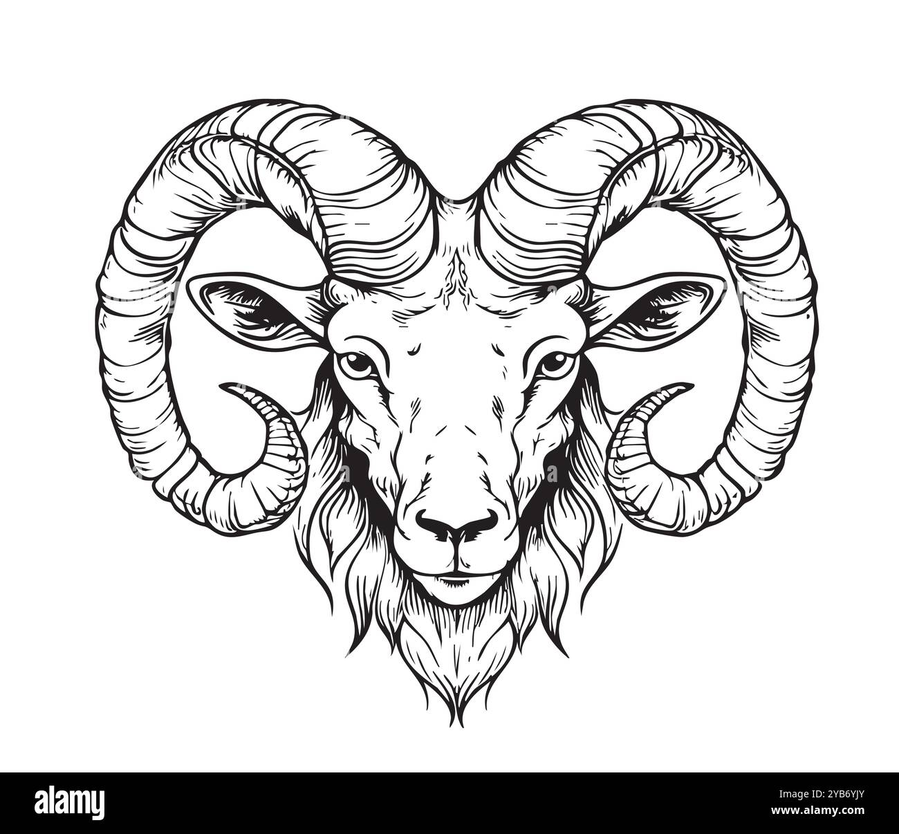 Ram sheep face sketch hand drawn in doodle style illustration Stock Vector Image & Art - Alamy