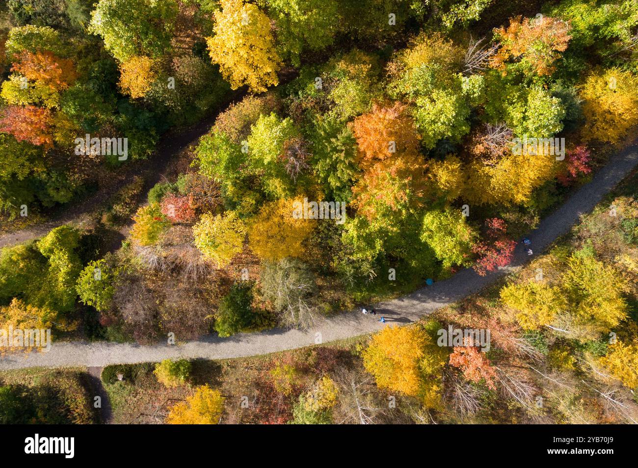 17 October 2024, Saxony, Tharandt: Passers-by walk along autumn-colored ...