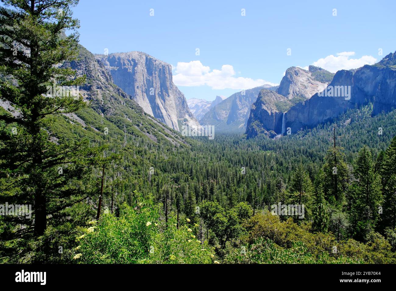 green forest trees in Yosemite valley, Yosemite National Park tunnel ...