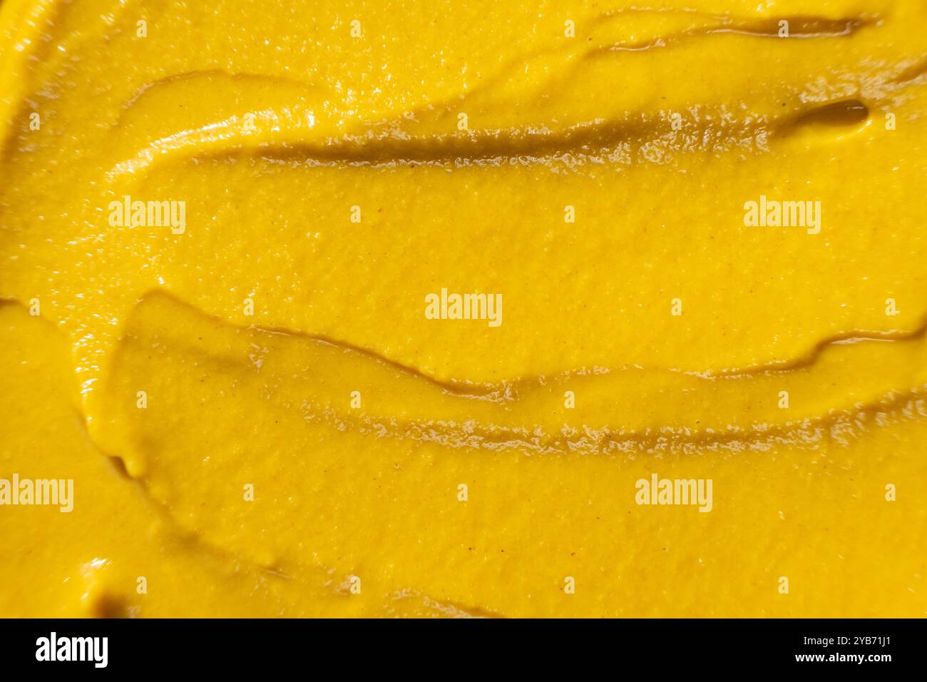Macro Texture Mustard Sauce, Natural Traditional Spicy Mustard Sauce ...