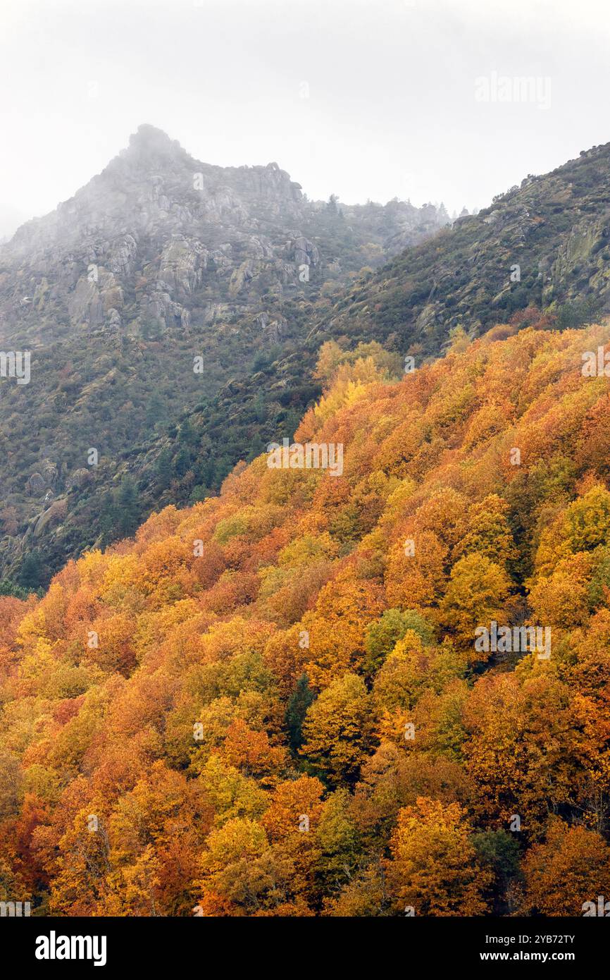 Serra da cruz hi-res stock photography and images - Alamy