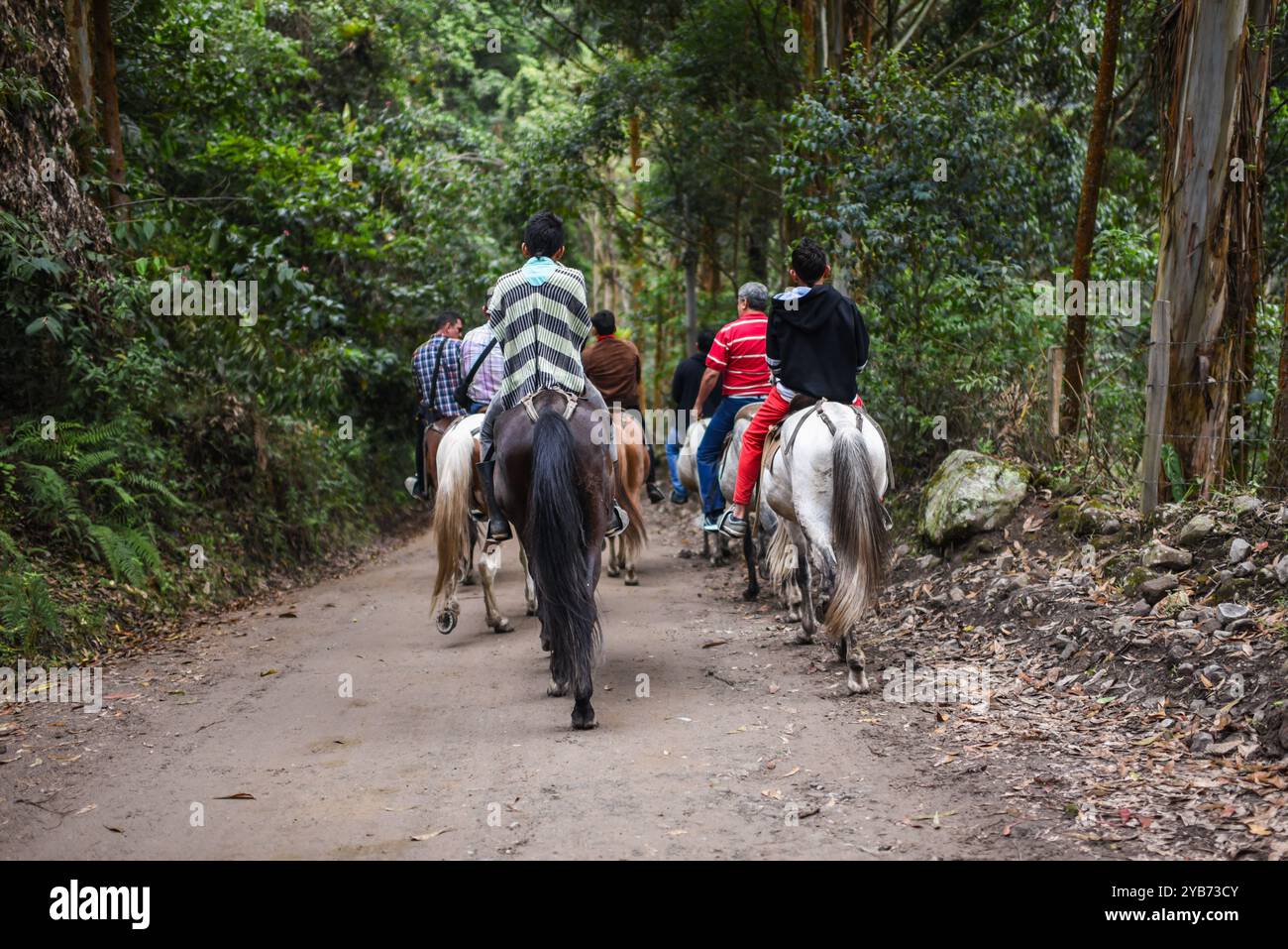 Group of horse riders in Combeima Canyon, Ibague, Colombia Stock Photo ...