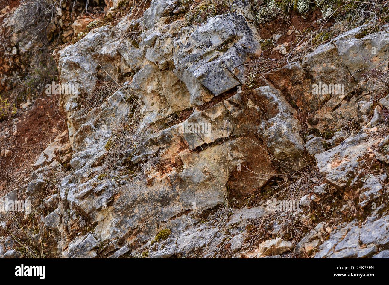 Featuring diverse textures hi-res stock photography and images - Alamy