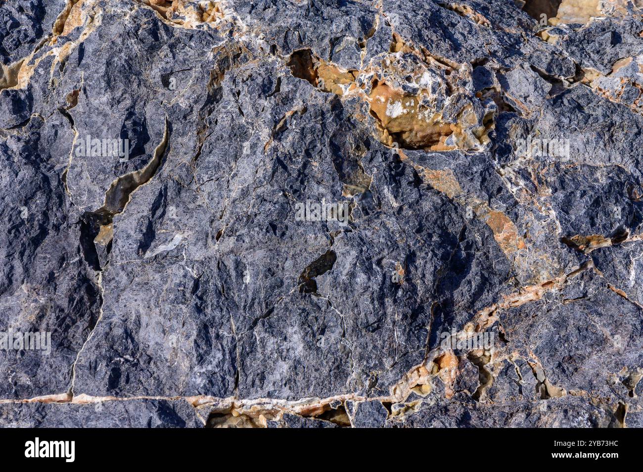 A striking blue-gray rock surface reveals intricate patterns and ...