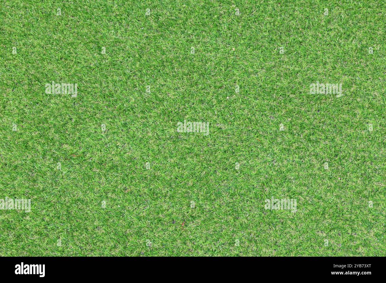 Artificial grass, covering. Artificial green grass mat, top view ...