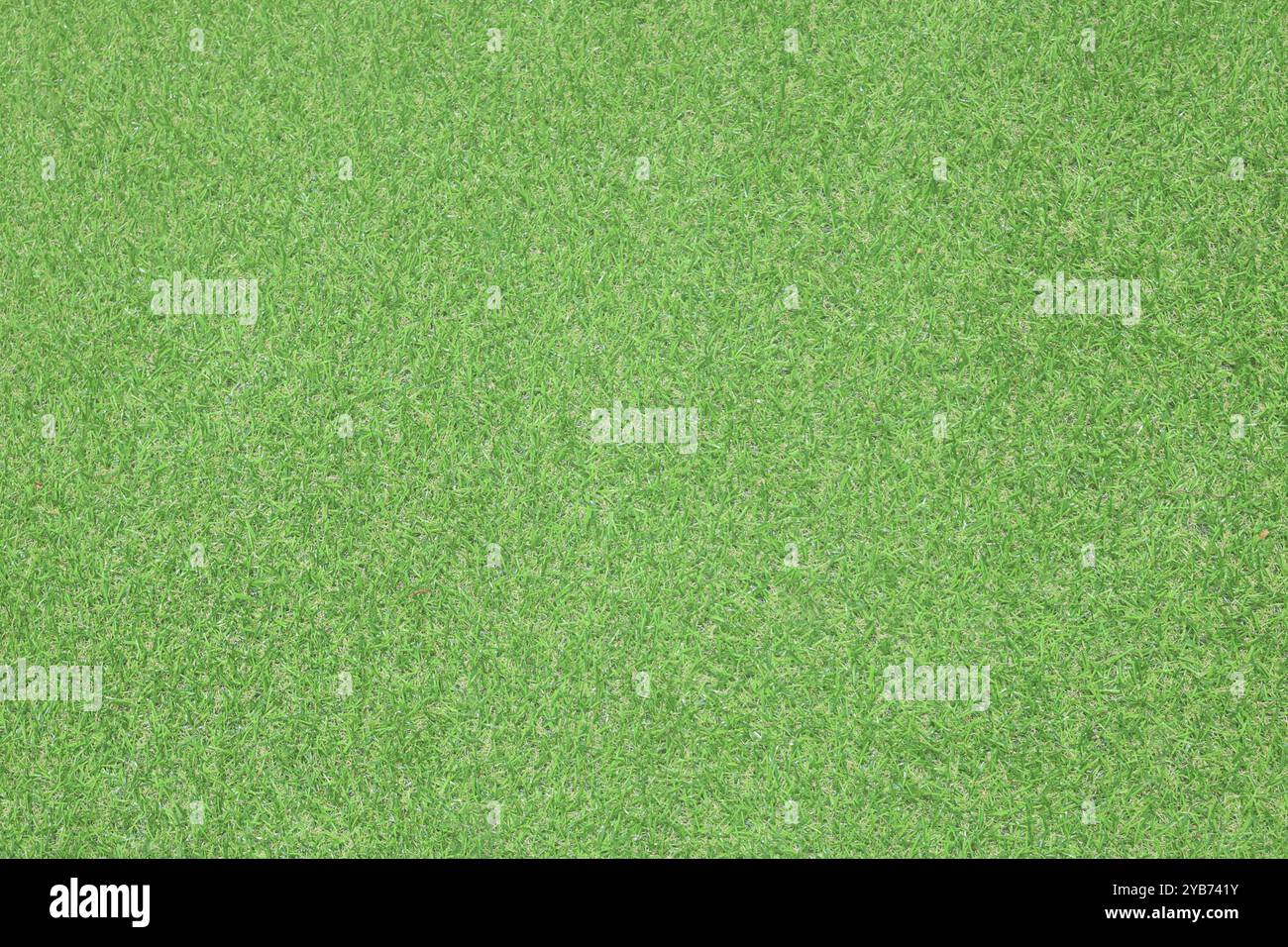 Artificial grass, covering. Artificial green grass mat, top view ...