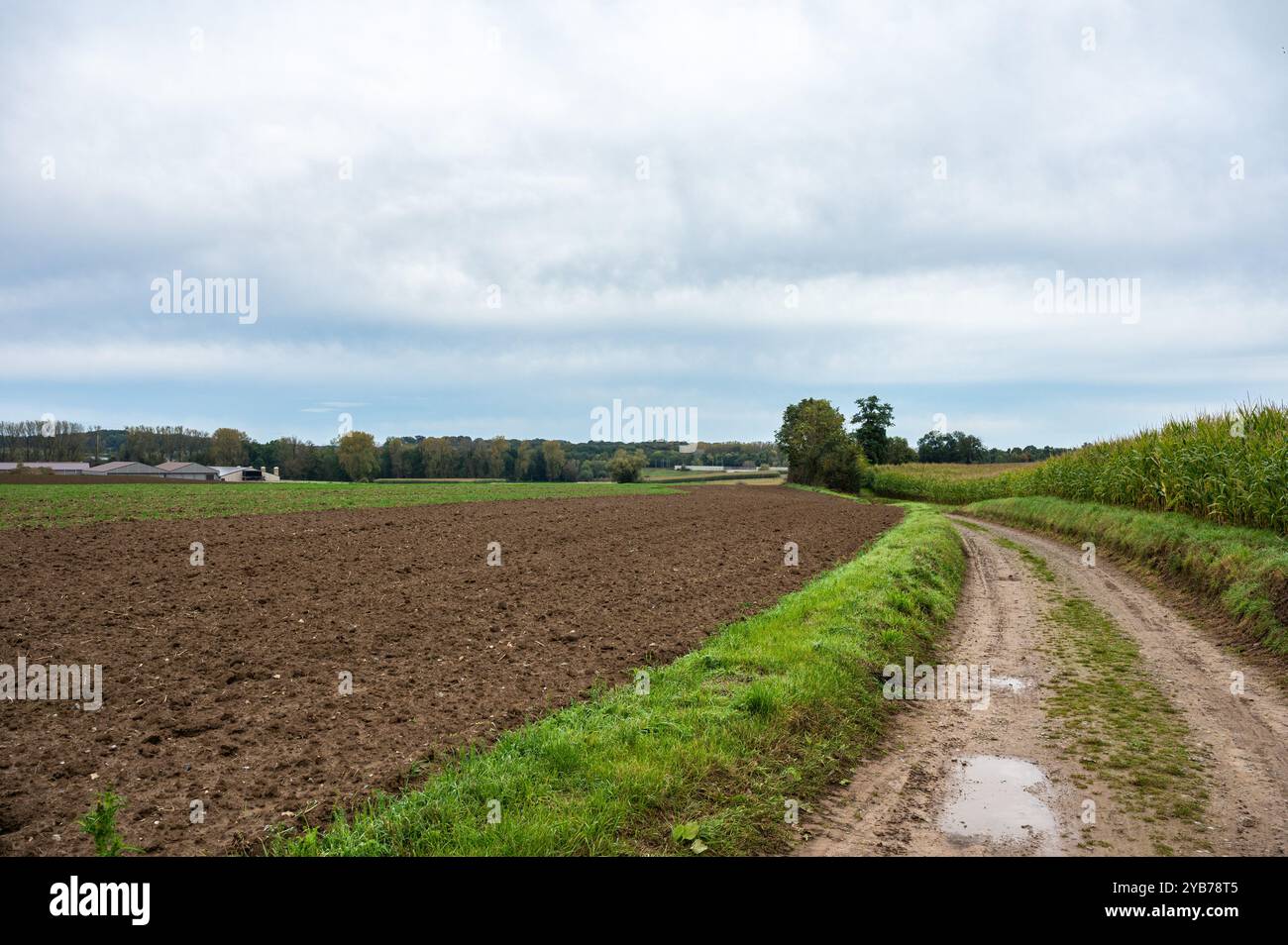 Dirty roads through plowed land at the Flemish countryside in Boutersem ...