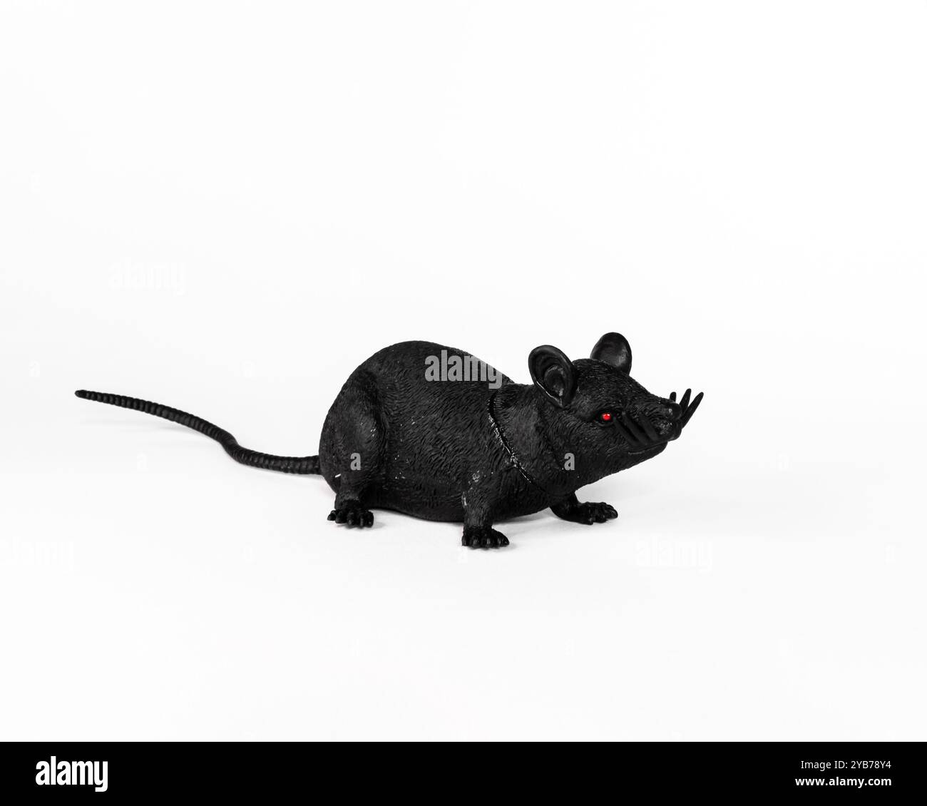 Small plastic black rat with long tail on a white background with copy ...