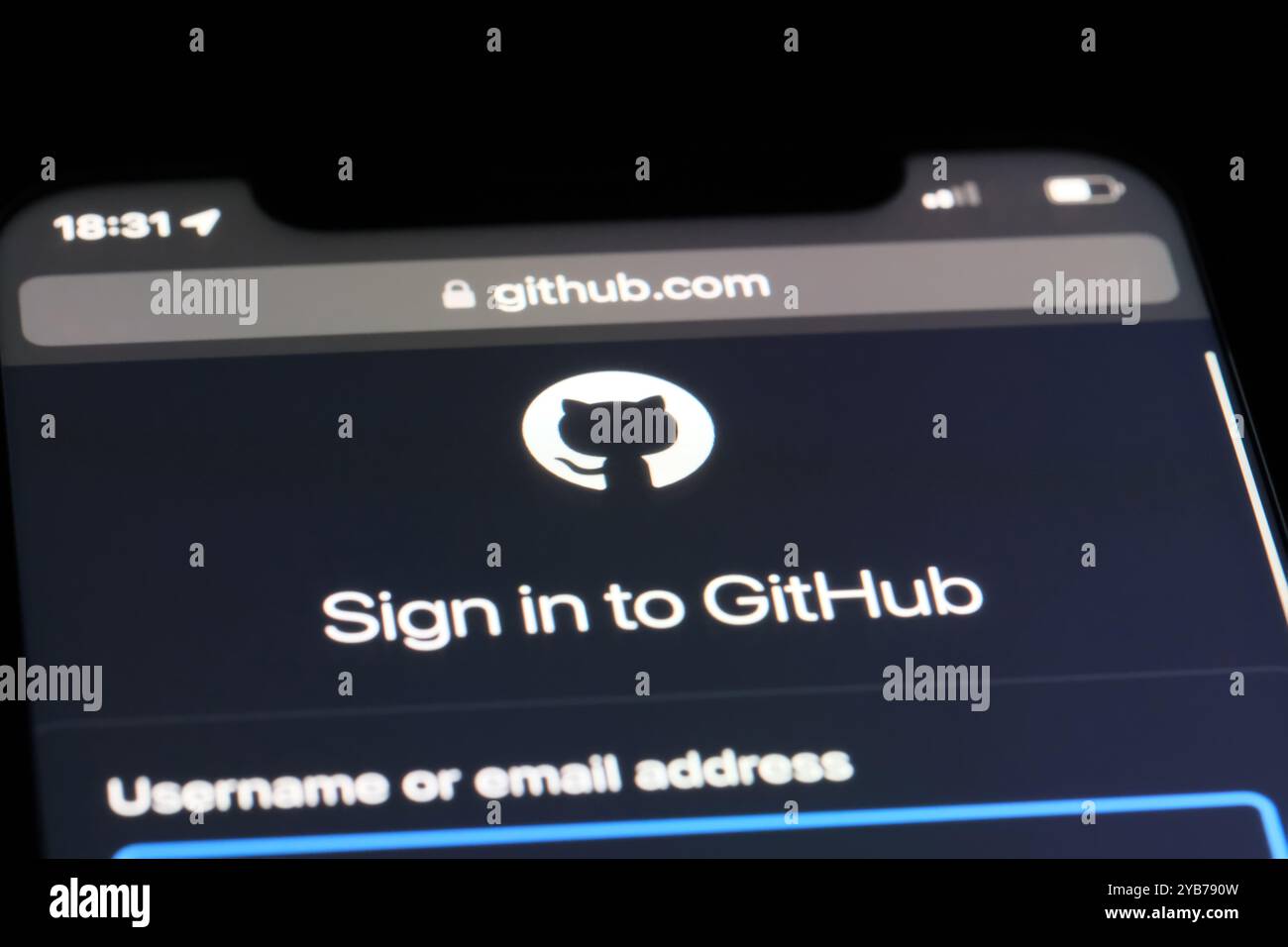 close up GitHub company brand logo on official website Stock Photo - Alamy