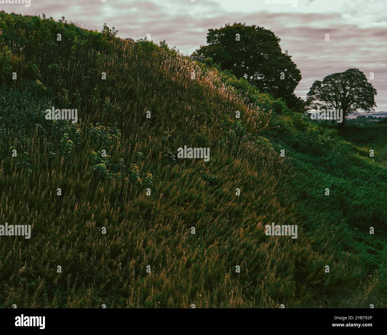 The Inner Bailey, Medieval Castle, Old Sarum, Salisbury, Wiltshire ...