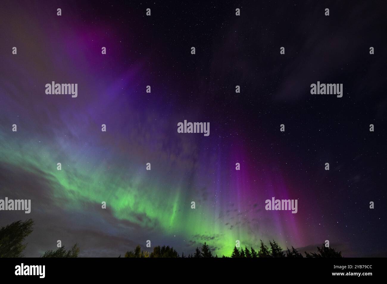 428nm hi-res stock photography and images - Alamy