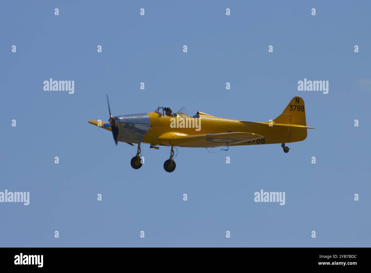 Miles M 14 Magister, British trainer aircraft in flight Stock Photo - Alamy