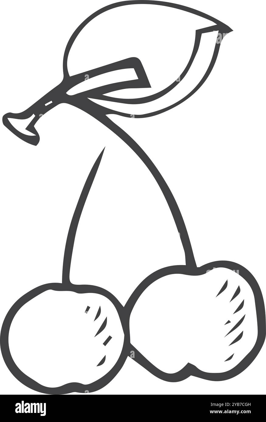 Cherries doodle. Sweet berries drawing. Natural food Stock Vector Image ...