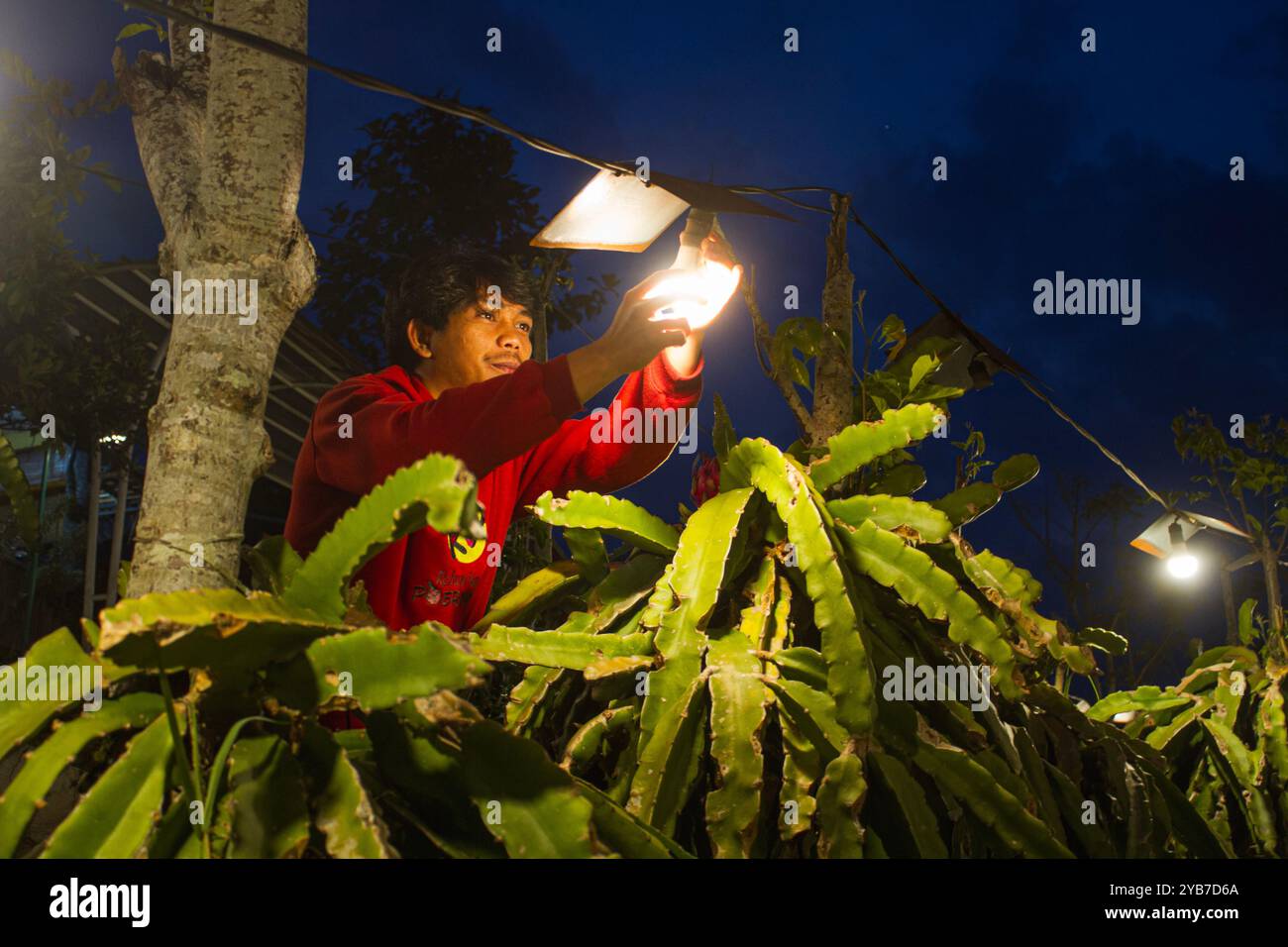 Garut, West Java, Indonesia. 17th Oct, 2024. Workers maintain lights ...