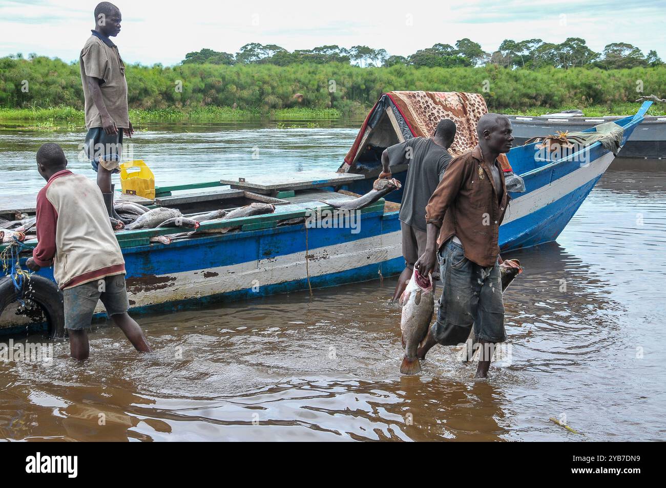A fisherman with Nile Perch at Kasensero - Lake Victoria - Uganda Stock ...