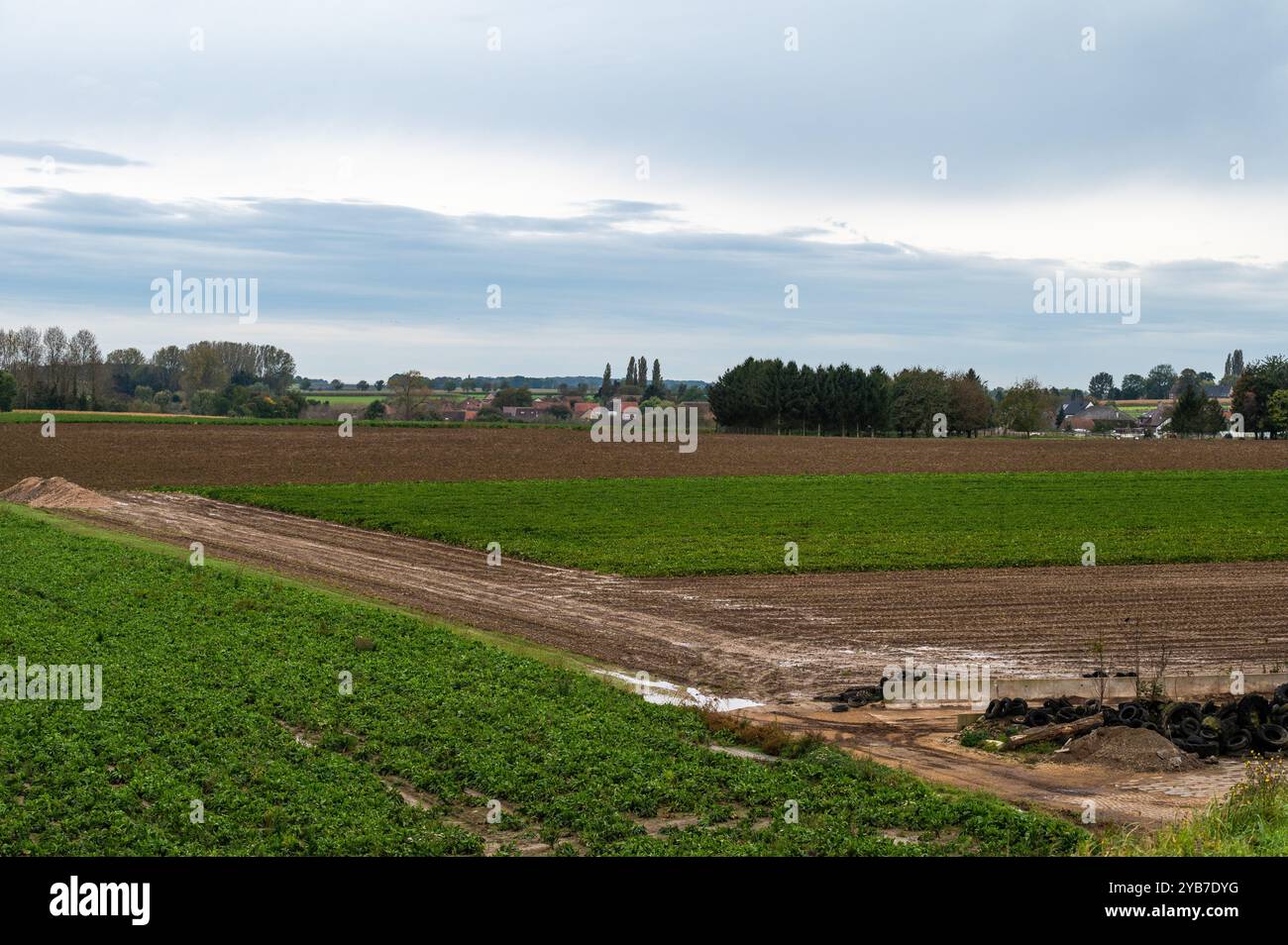 Colorful agriculture fields and hills at the Flemish countryside in ...