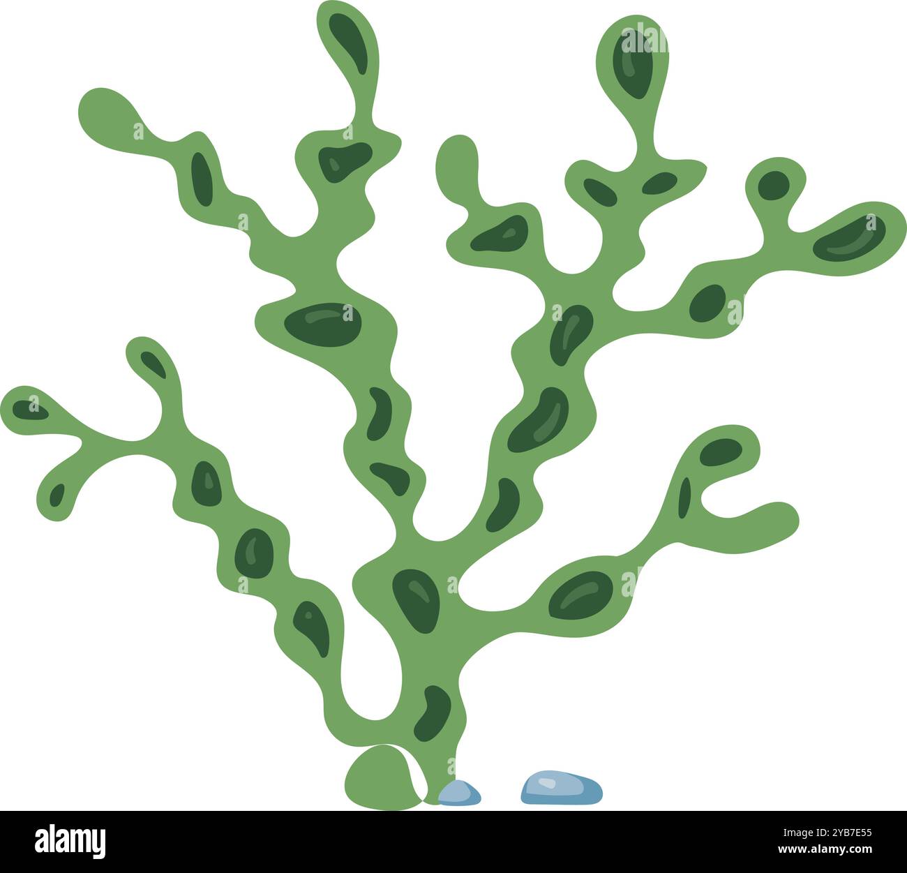 Spirulina alga Stock Vector Images - Alamy