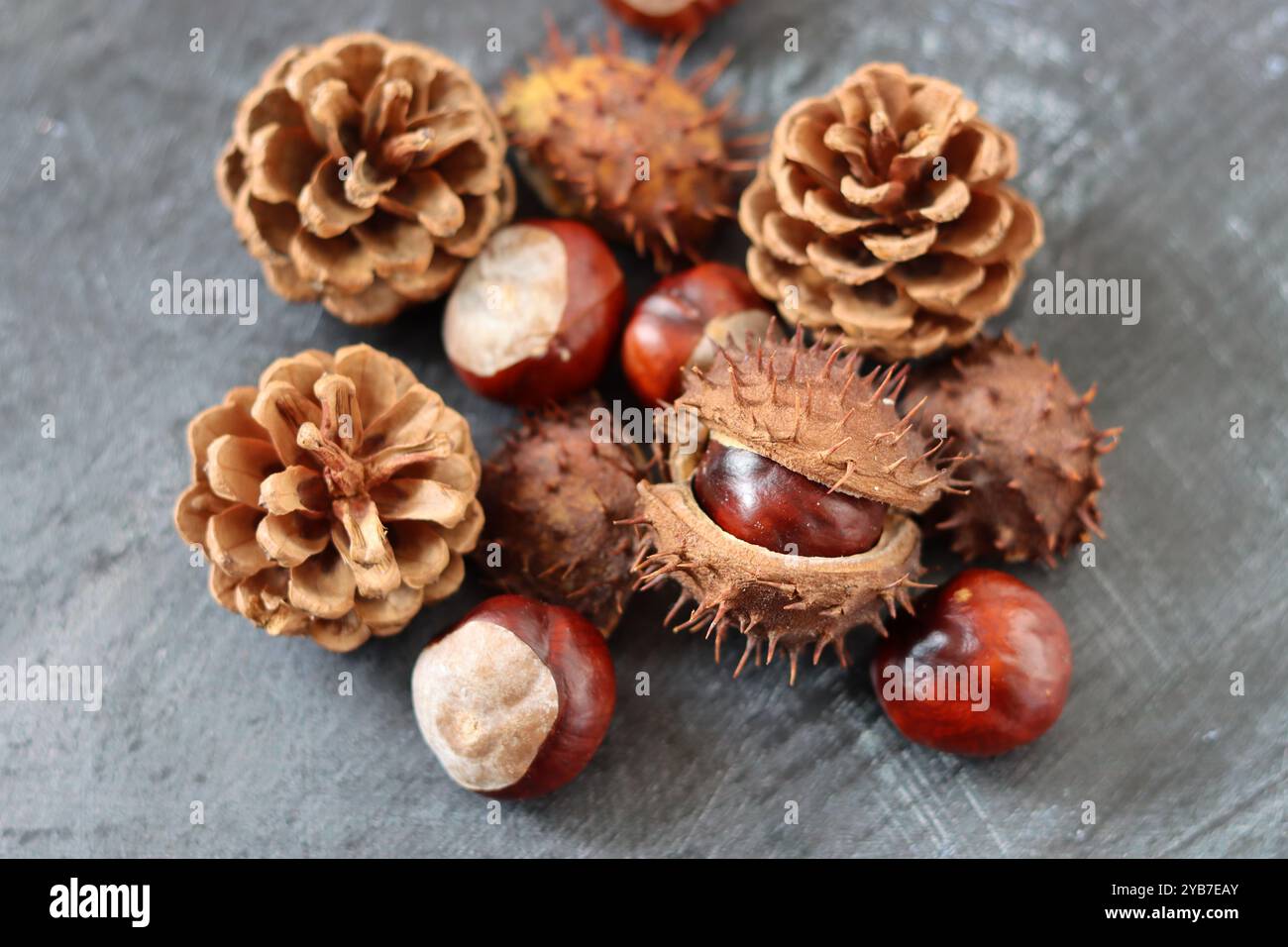 Close up photo of chestnuts on dark grey textured background with space ...