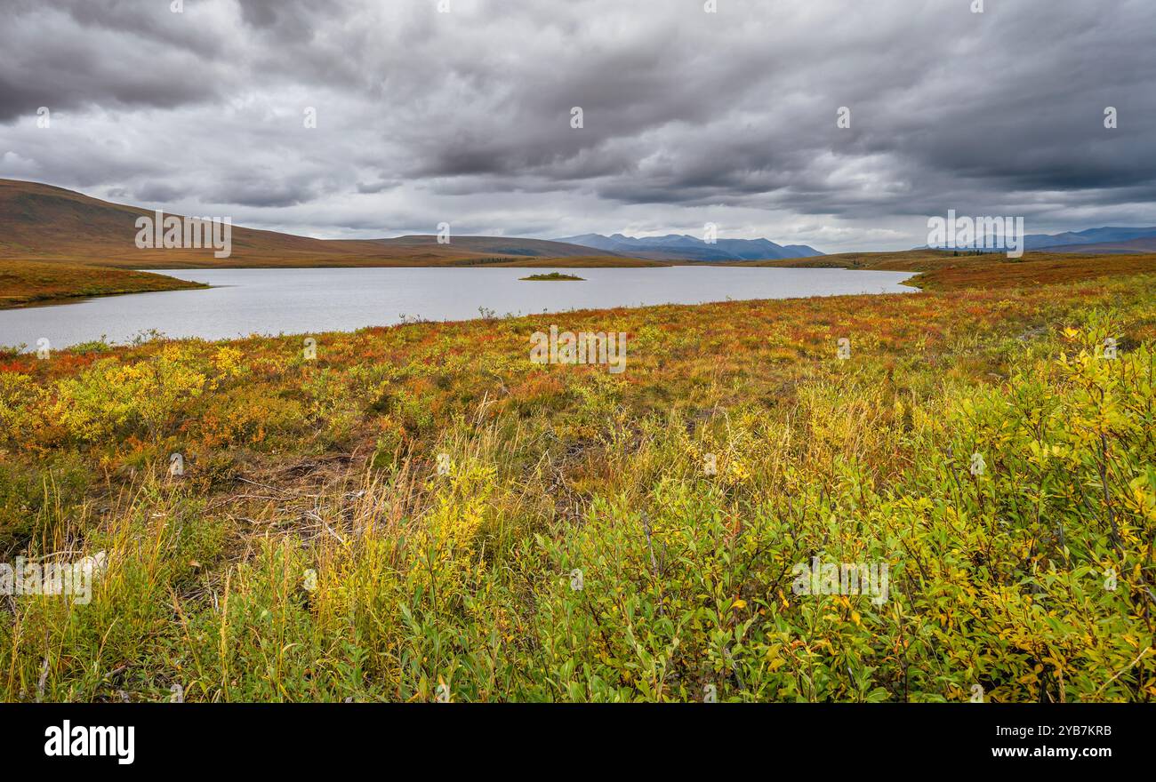Autumn vegetation at Two Moose Lake in Tombstone Territorial Park ...