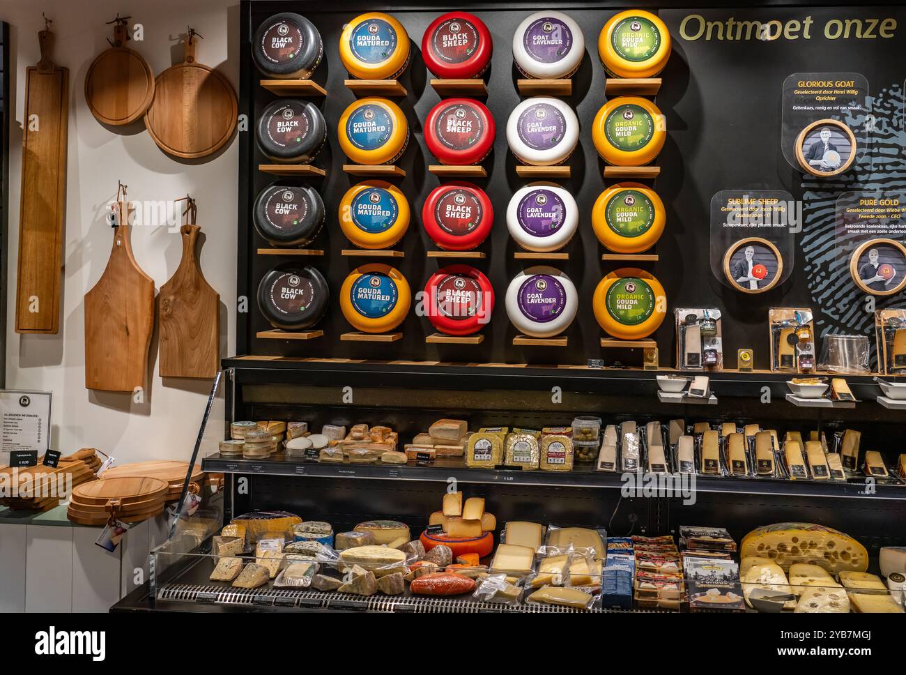 Alkmaar, Netherlands: wheels of cheese store with variety of cheeses on ...