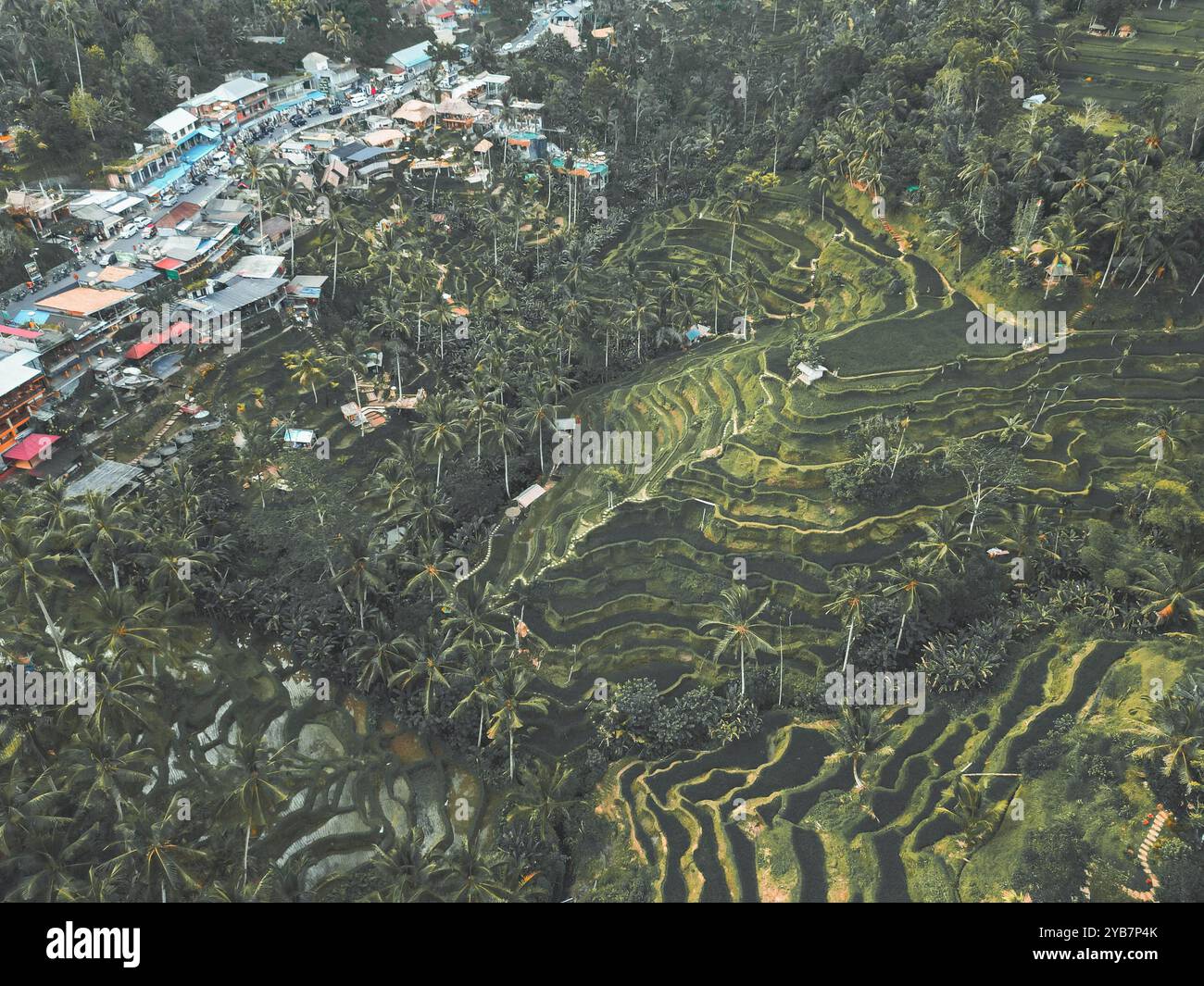 Aerial shot local village rice hi-res stock photography and images - Alamy
