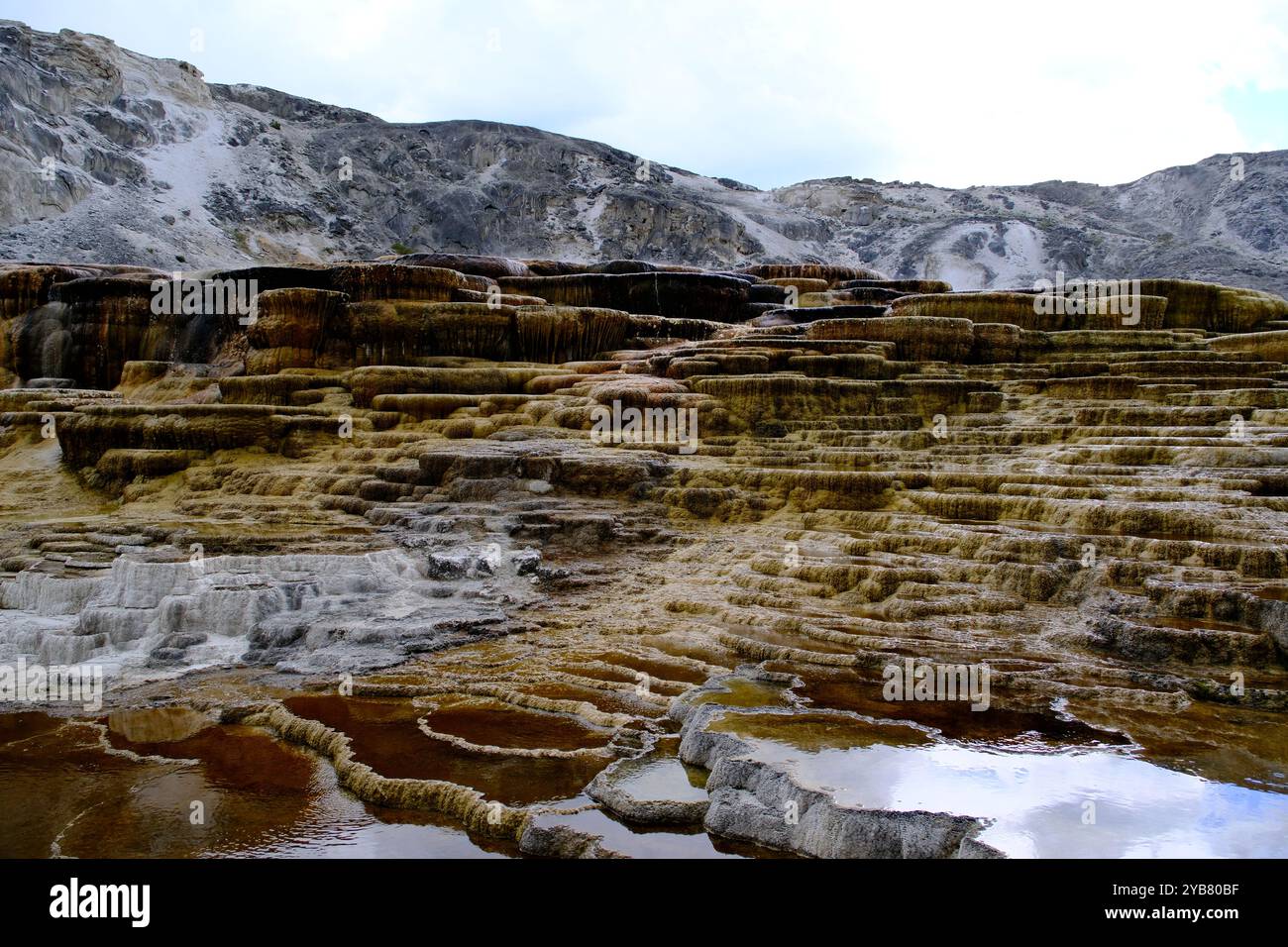 Travertine terraces yellowstone hi-res stock photography and images - Alamy