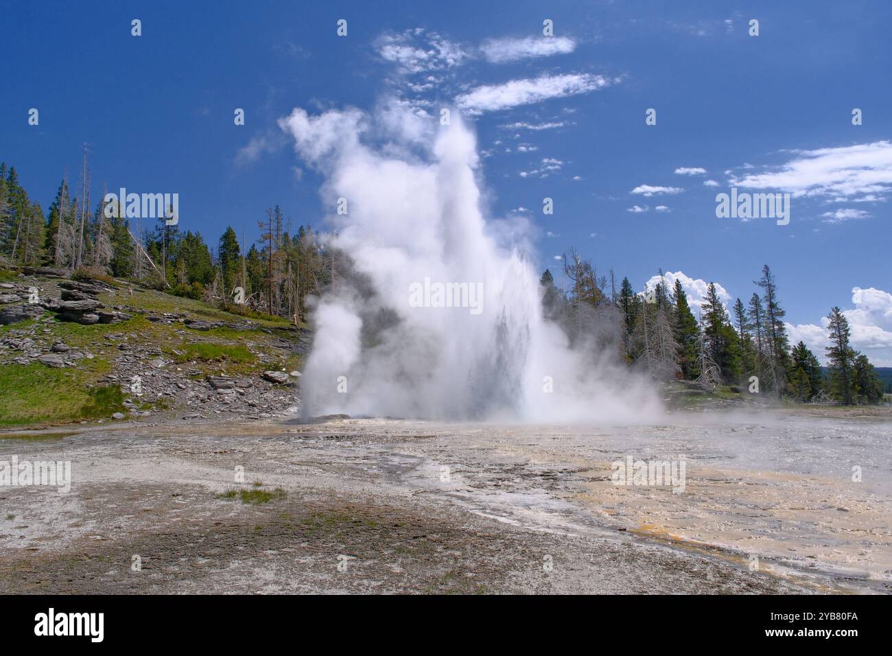 erupting Grand Geyser, in the Upper Geyser Basin of Yellowstone ...