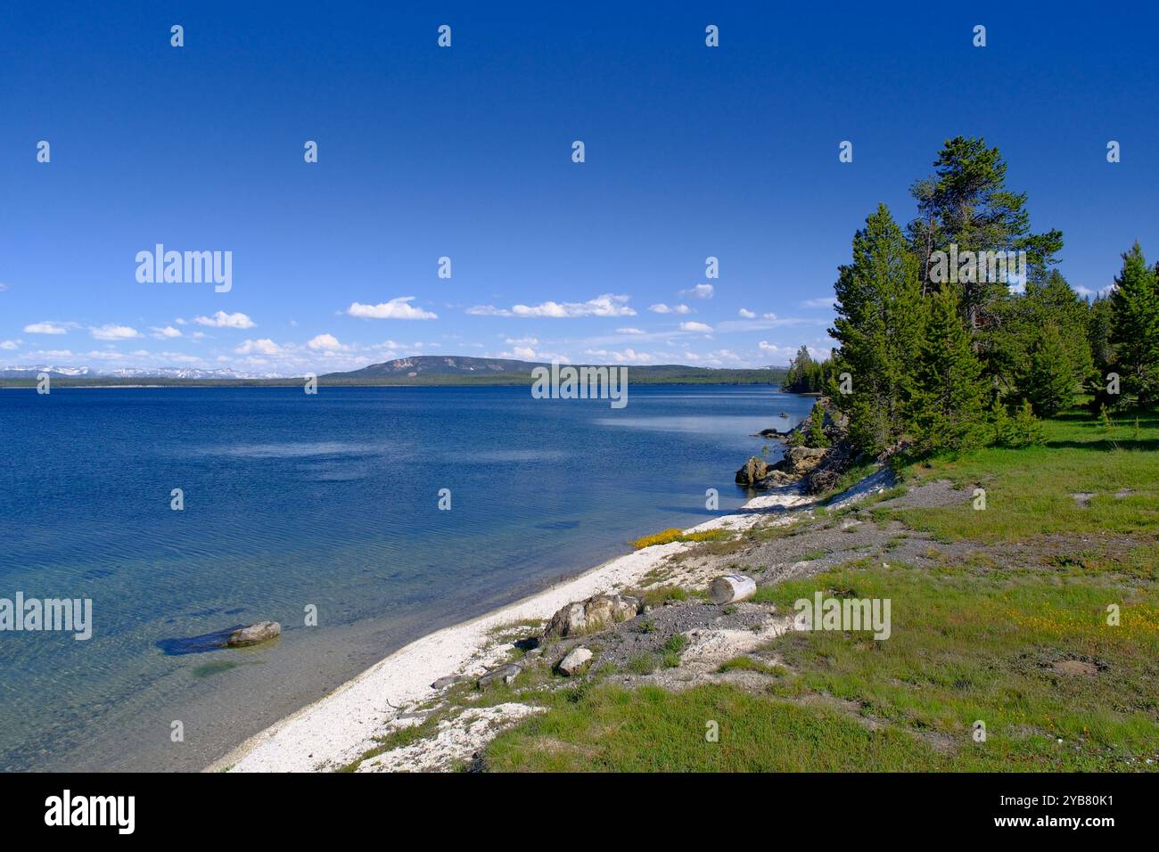 Yellowstone Lake lakeshore landscape in Yellowstone National Park, USA ...
