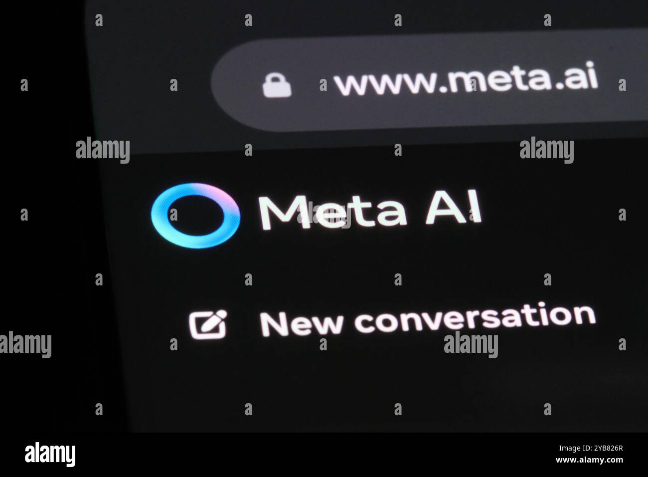 Shanghai,China-Sep.4th 2024:Meta AI company brand logo on website Stock ...