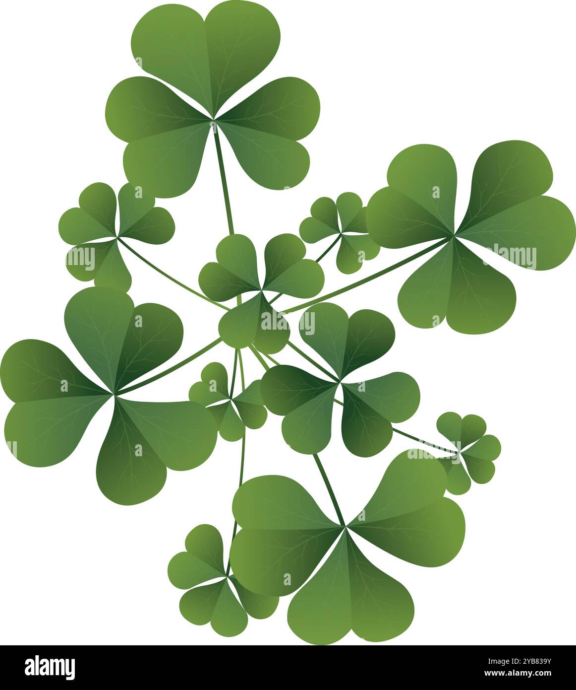 Three-leaf clover, plant Trifolium Stock Vector Image & Art - Alamy