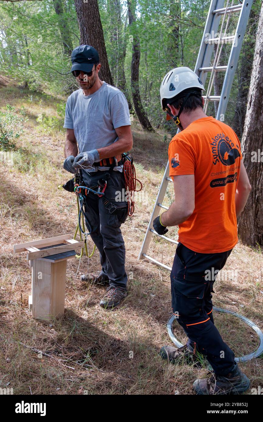 Installing a nest box high up on a tree by Symbiosphere, environmental ...