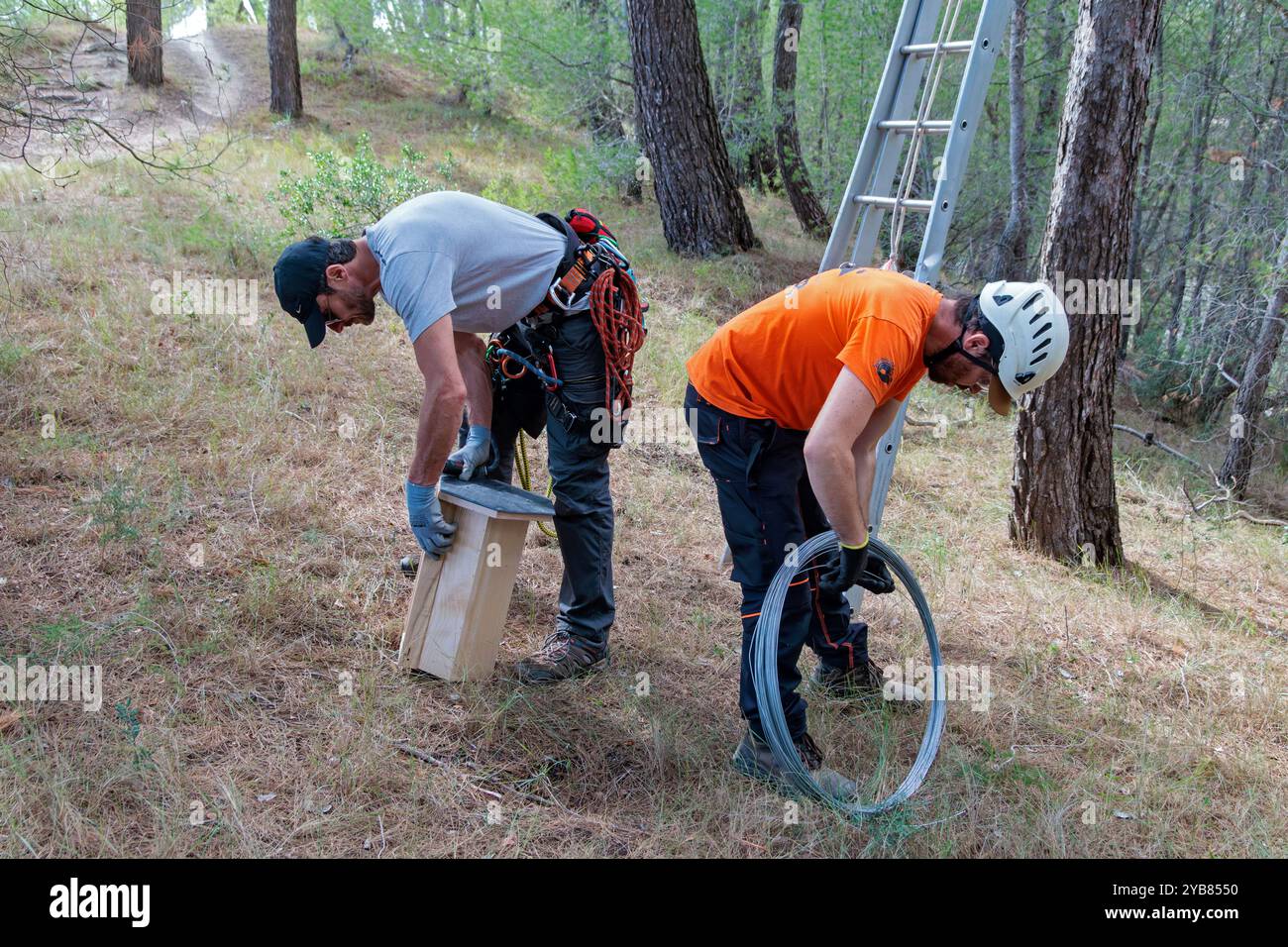 Installing a nest box high up on a tree by Symbiosphere, environmental ...