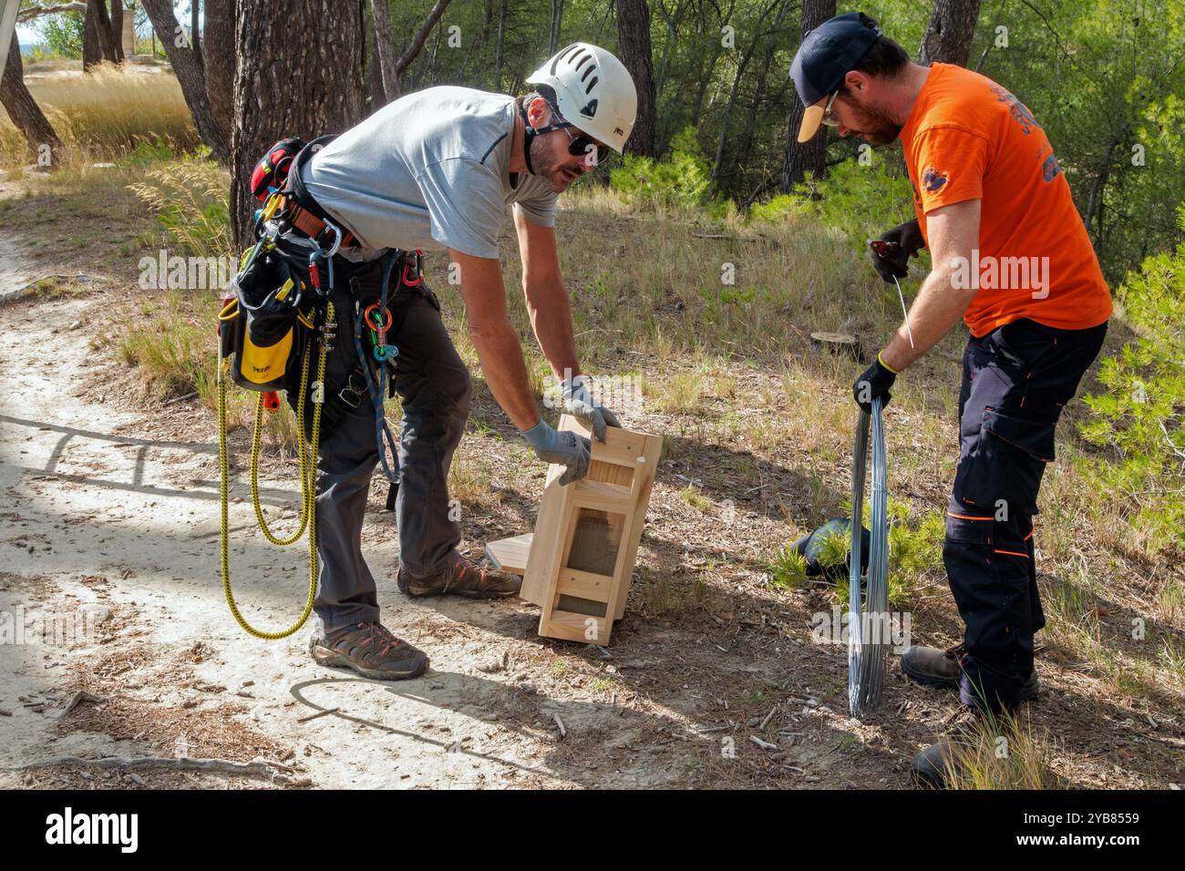 Installing a nest box high up on a tree by Symbiosphere, environmental ...