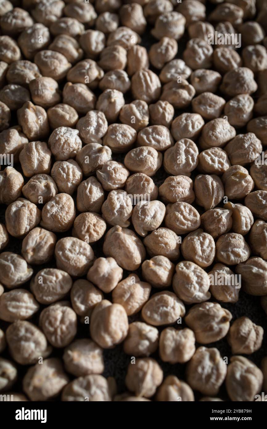Close-up of dried chickpeas spread across a textured surface ...