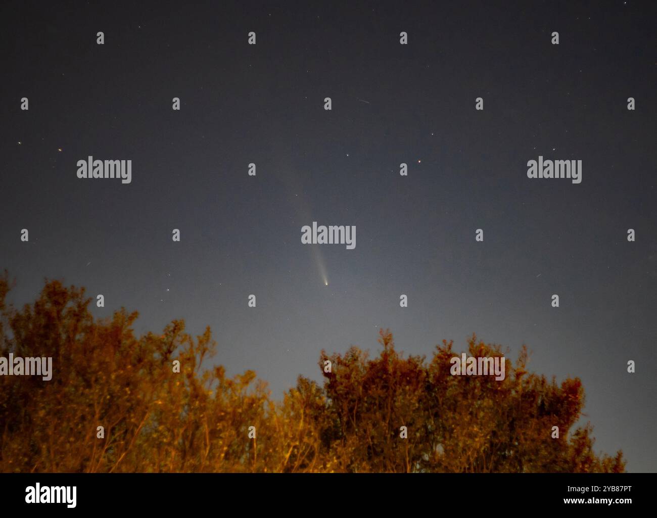 Comet Tsuchinshan-ATLAS in the skies above Charlotte, NC, on the ...