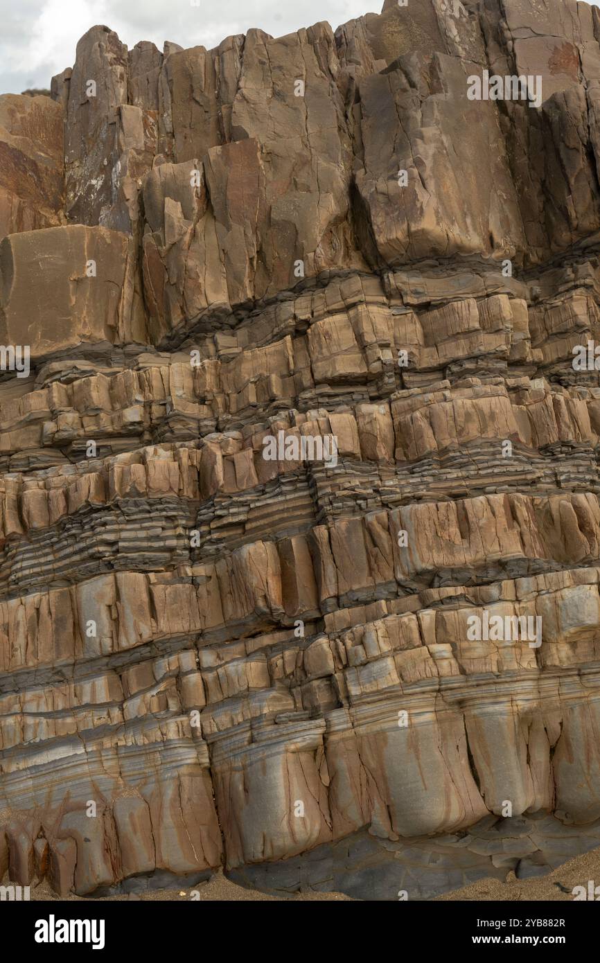 Rock Strata: sandstones, siltstones and shales from the Bude Formation ...