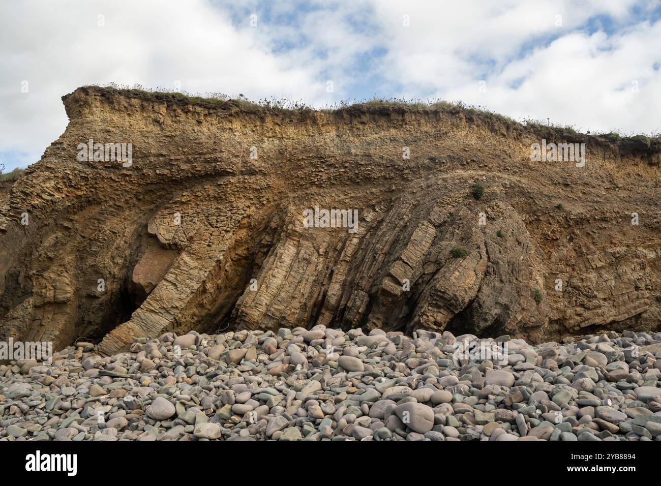 Folded Rock Strata: sandstones, siltstones and shales from the Bude ...