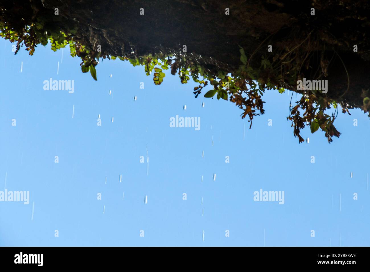 Water dripping from an overhang forming a small waterfall, at Weeping ...