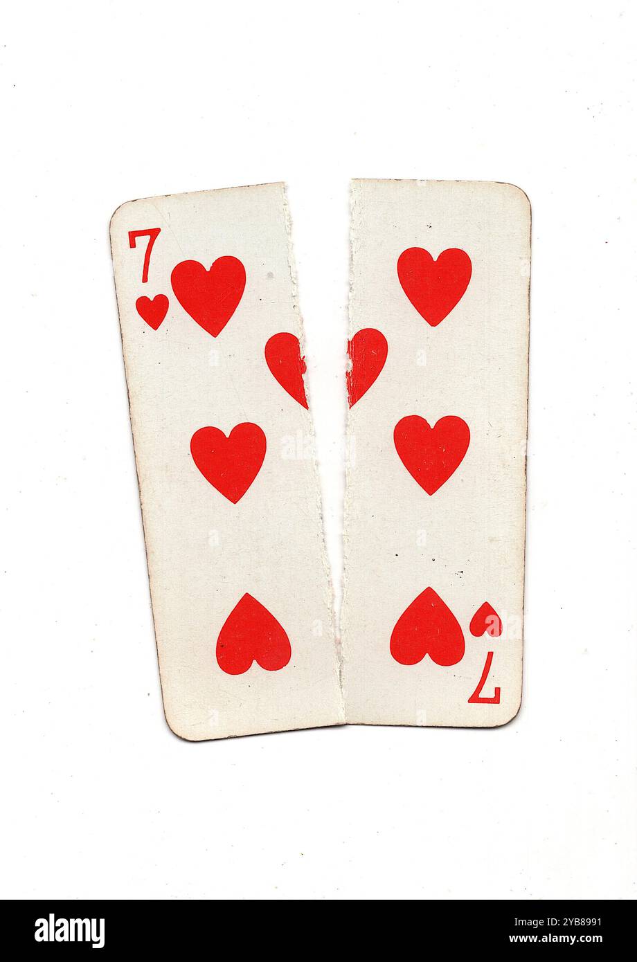 A vintage playing card torn in half from top to bottom on a white ...