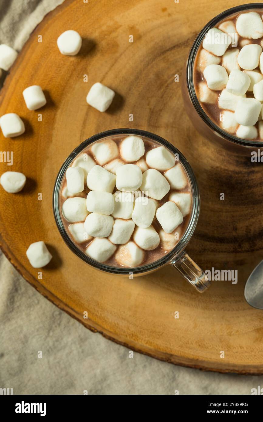 Hot chocolate marshmallows traditional hi-res stock photography and ...