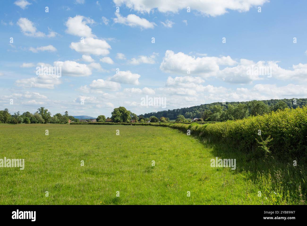 Long maintained hi-res stock photography and images - Alamy