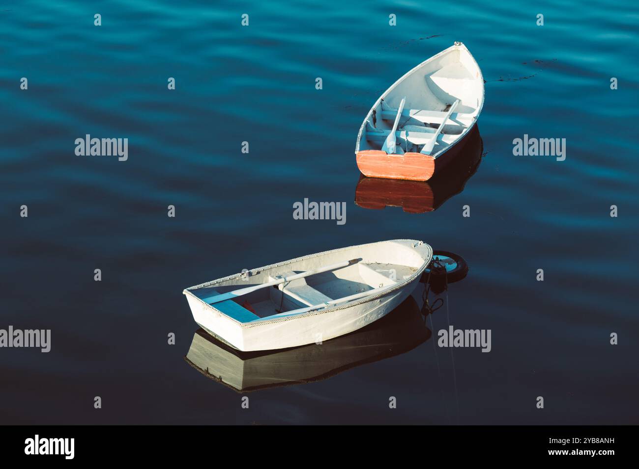 Two row boats floating in the blue water in Maine Stock Photo - Alamy