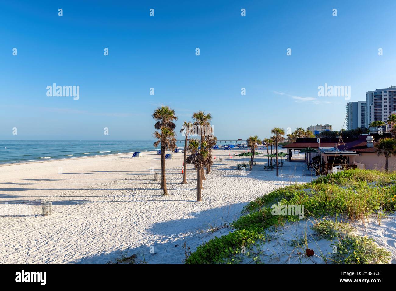 Beautiful beach landscape palm trees hi-res stock photography and ...