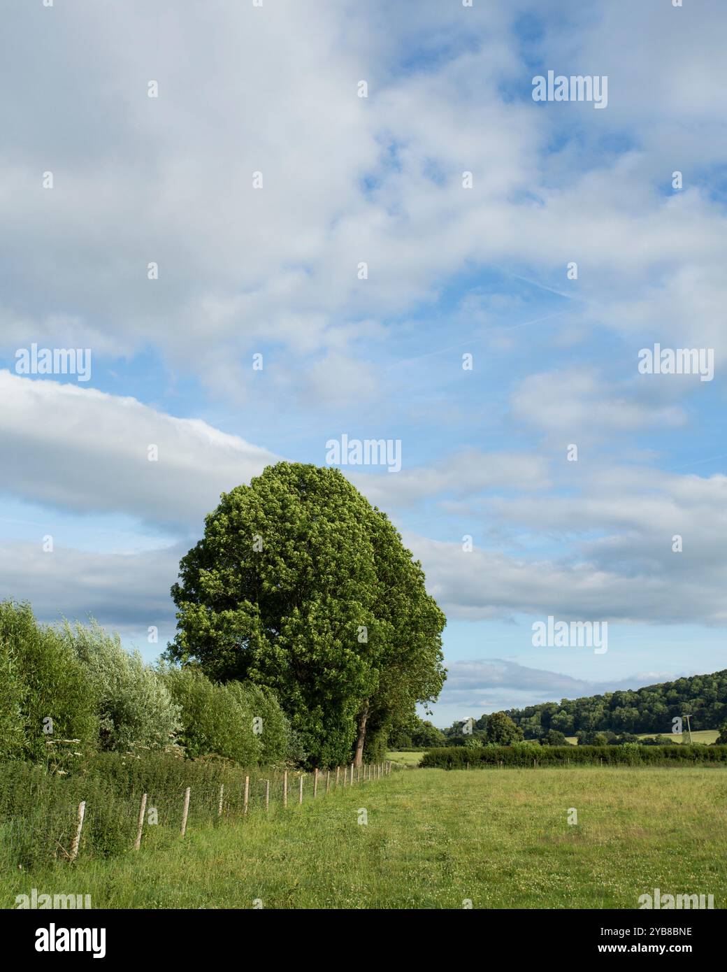 Hedge field boundaries hi-res stock photography and images - Alamy