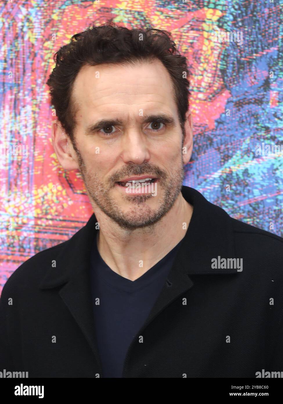 Roma Cinema Fest 2024. Rome Film Fest. Photocall Matt Dillon Stock ...