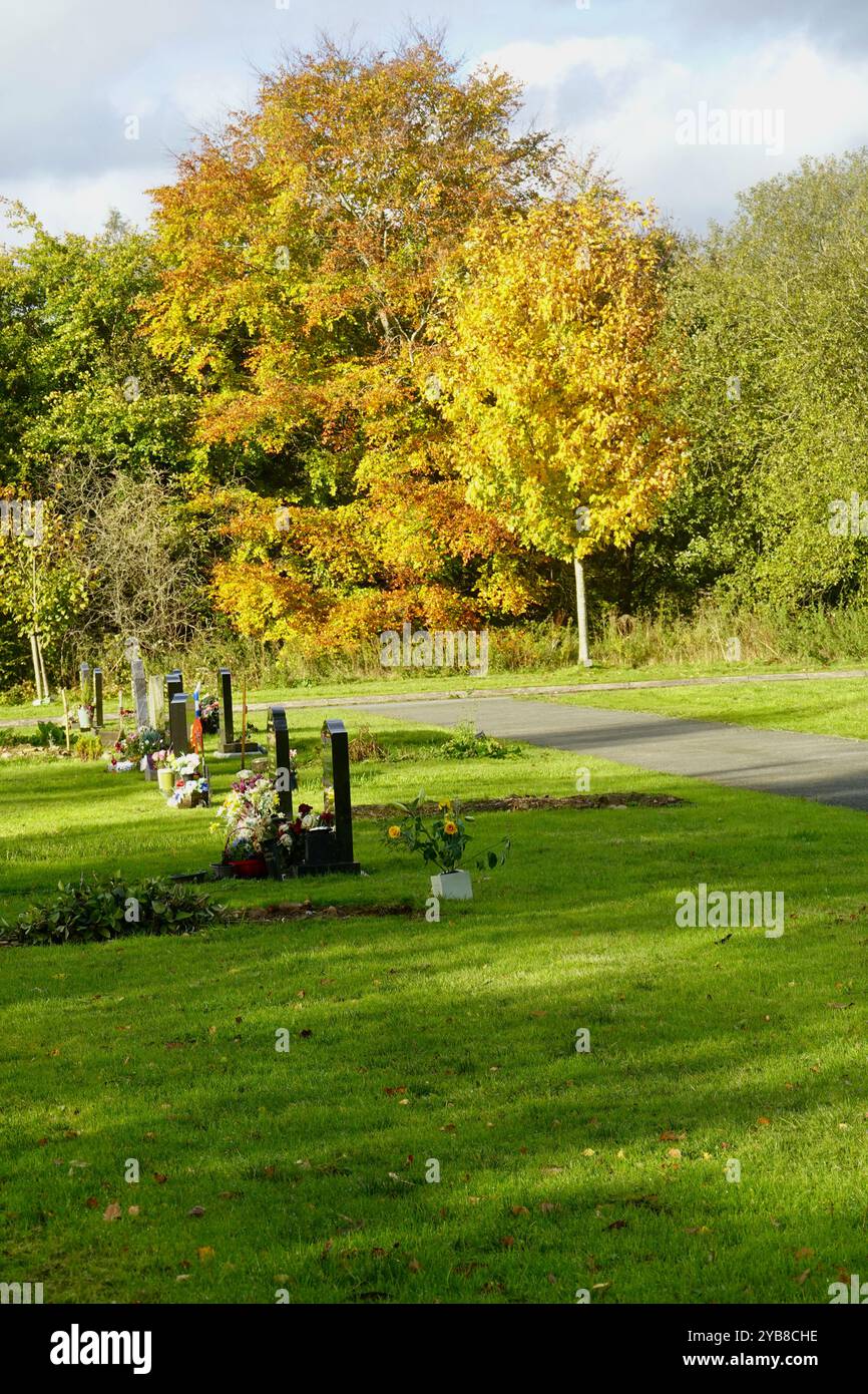 Autumn colours in Thornsett Cemetery, Derbyshire, UK Stock Photo - Alamy